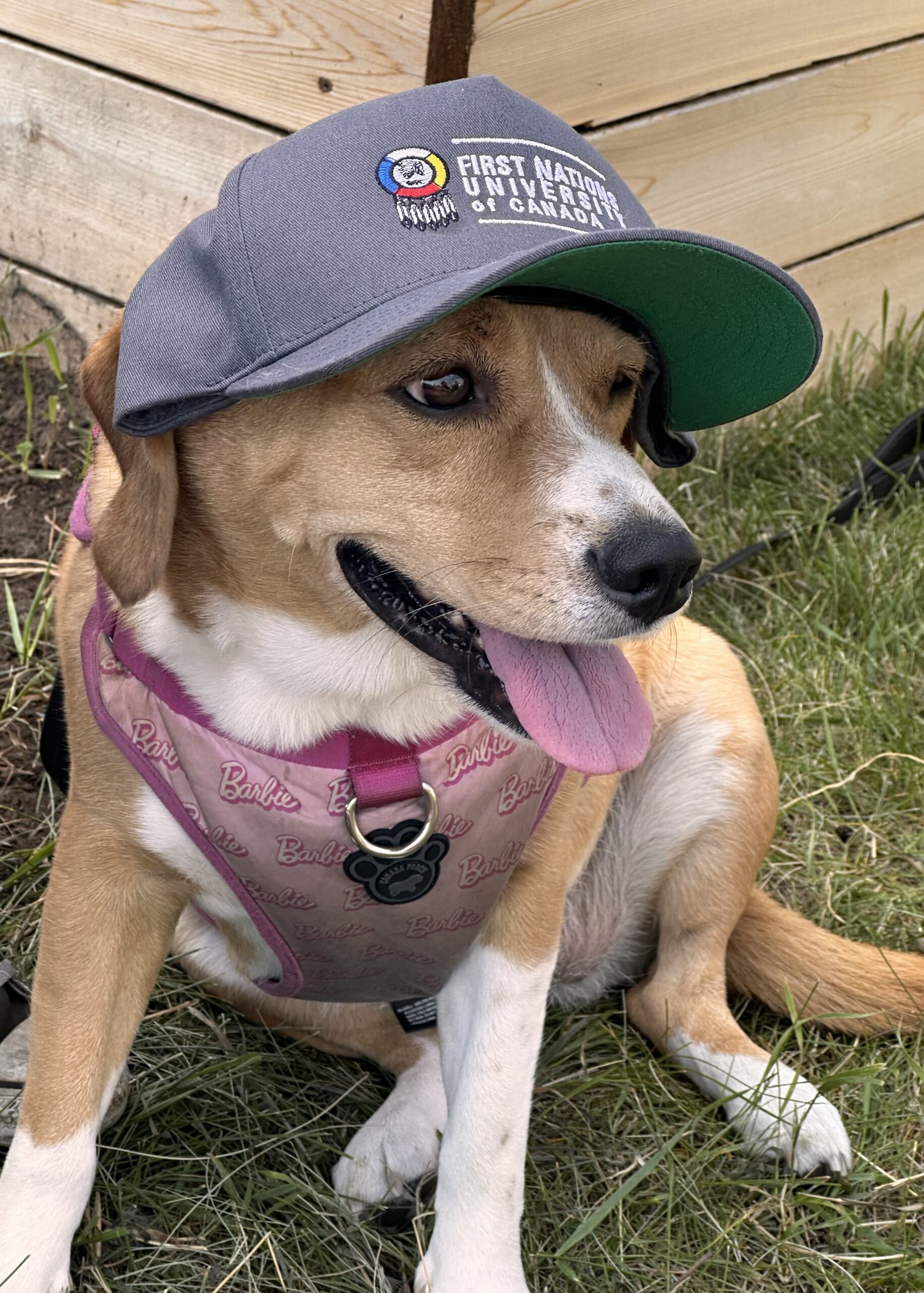 FNUniv partners with SIIT and McKnight Property Management to establish ...